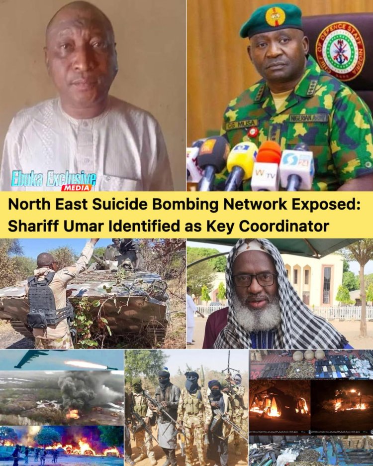 North East Suicide Bombing Network Exposed - Pray for Nigeria